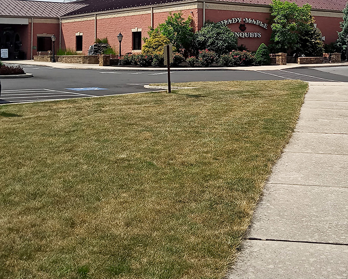 The sprawling Shady Maple complex rises from Pennsylvania Dutch Country like a cathedral dedicated to the religion of comfort food.