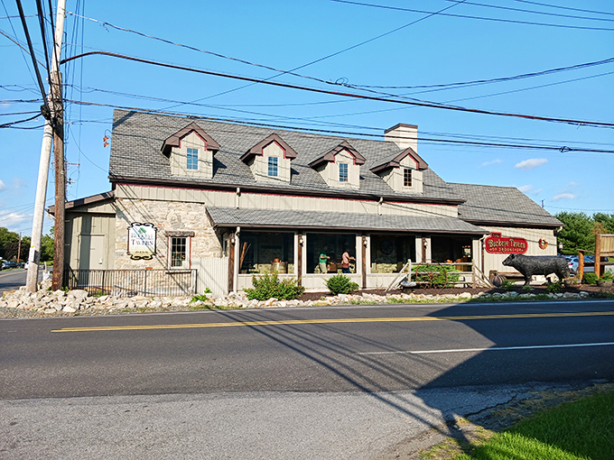 The stone facade of Buckeye Tavern stands proudly along the roadside, its dormer windows and rustic charm beckoning hungry travelers like a culinary lighthouse.