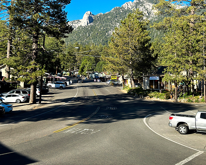 A bird's-eye view of paradise! Idyllwild nestles among towering pines like nature's version of a cozy blanket fort for grown-ups.