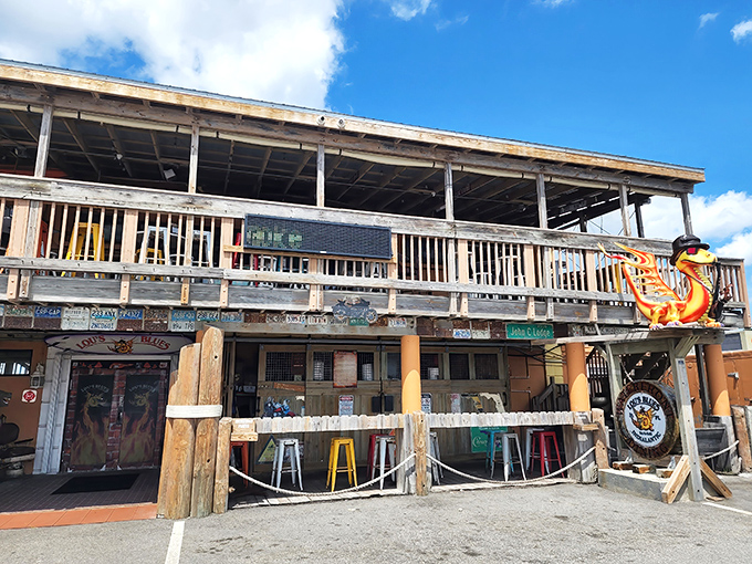 The shark might not bite, but the flavors at Lou's Blues certainly will. This weathered beach-bar exterior promises authentic Florida experiences inside.
