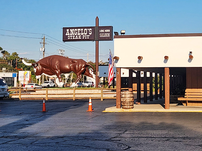 Big Gus stands sentinel outside Angelo's Steak Pit, a bovine ambassador promising carnivorous delights within. Like a meaty Statue of Liberty welcoming hungry masses.