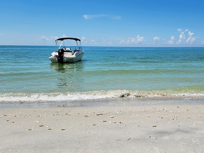 Paradise arrives with a gentle purr of an outboard motor. This pristine shoreline welcomes boaters to a world where "rush hour" means racing hermit crabs.