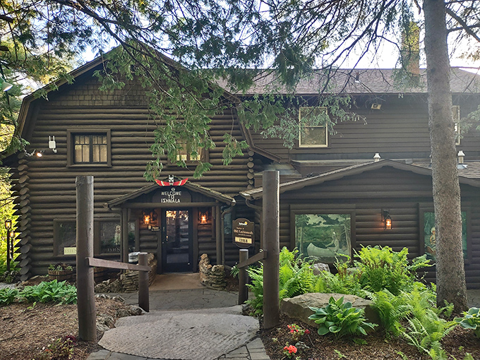 The journey through pine-scented woods ends at this rustic log cabin treasure, where Wisconsin supper club traditions await behind those welcoming wooden doors.