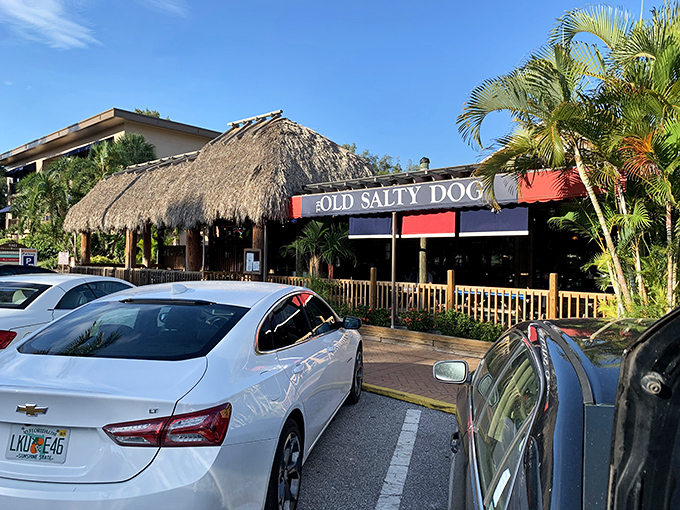 The thatched roof and weathered sign aren't just Florida kitsch—they're promises of the authentic coastal experience waiting inside this Siesta Key institution.