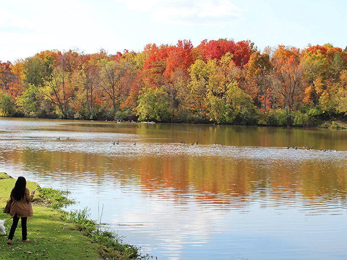 Fall's fashion show at Madison Lake creates a perfect reflection in the calm waters, nature's own Instagram filter working overtime.