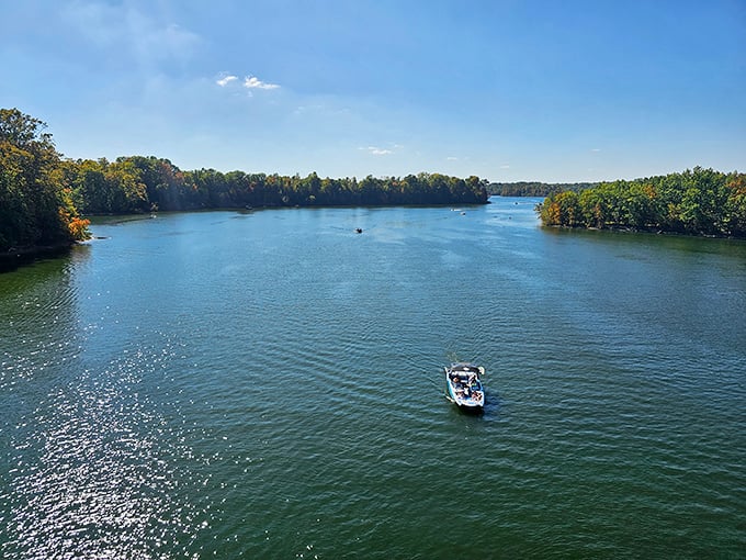 Mirror-like waters reflecting puffy clouds create nature's perfect selfie backdrop. Caesar Creek Lake invites you to press pause on life's chaos.