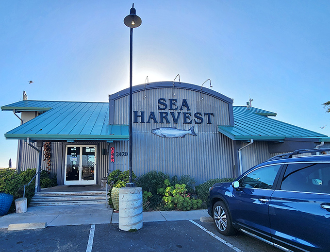 The corrugated metal exterior of Sea Harvest stands like a fisherman's secret hideout, complete with that iconic fish silhouette promising oceanic treasures within.