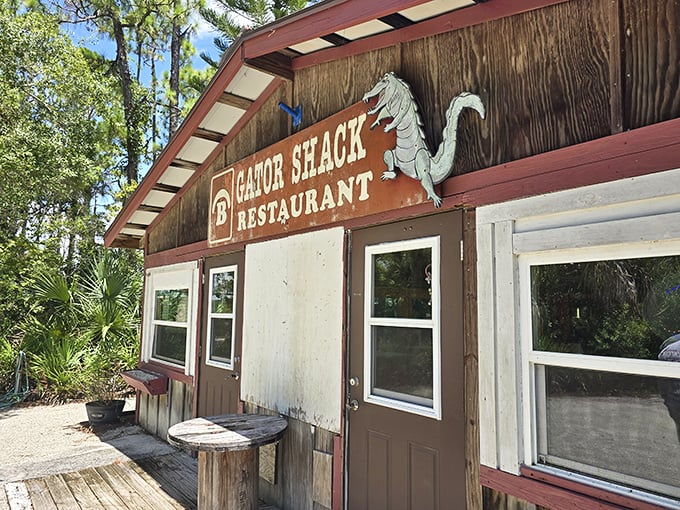 The unassuming exterior of The Gator Shack proves once again that in Florida, culinary treasures often hide in plain sight.