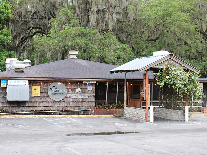 The iconic rusted metal moon sculpture welcomes visitors to The Yearling, where Old Florida charm meets literary history in Hawthorne's backwoods.