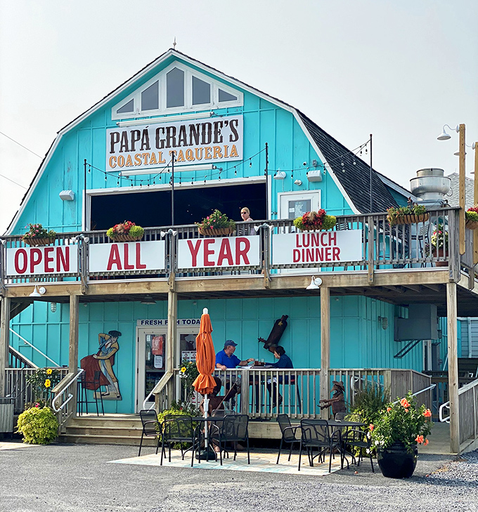That turquoise exterior isn't just eye-catching—it's a coastal siren song beckoning hungry travelers to drop anchor and feast.
