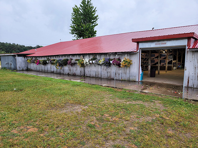 Early birds catch the deals! White canopy tents stand ready for the day's treasure hunting under Michigan's brilliant blue summer sky.