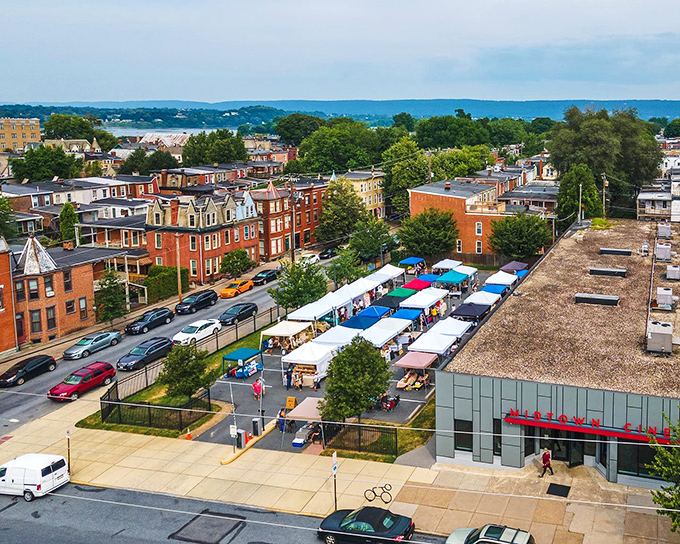 The Hbg Flea welcomes treasure hunters with colorful tents promising discoveries that'll make your garage jealous.