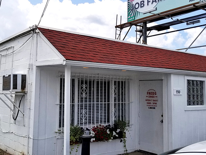 The unassuming white exterior of Fred's Diner stands like a culinary time capsule, promising authentic flavors that no fancy fa&ccedil;ade could ever improve upon.