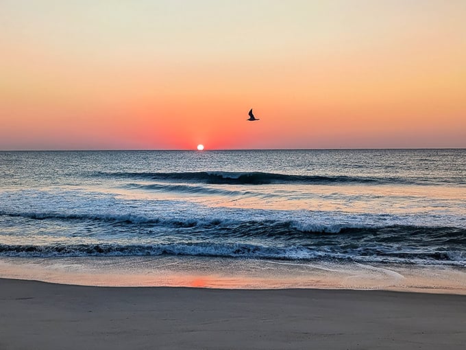 Nature's grand finale at Freeman Park Beach, where sunset paints the sky in impossible hues and seabirds photobomb your perfect moment.