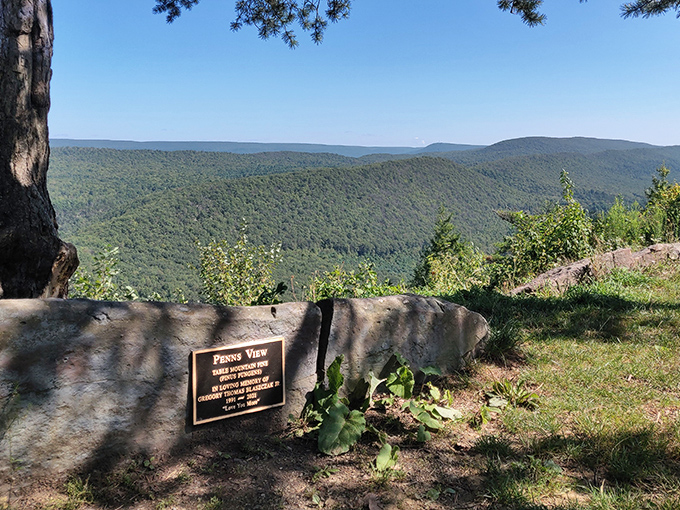 The iconic marker at Penn's View Overlook stands sentinel over an endless sea of green. Nature's own IMAX screen unfolds before you.