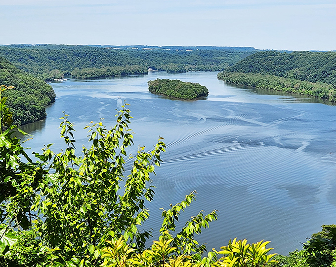 Nature's own IMAX experience! The Susquehanna River curves majestically through lush green hills, with Crow Island sitting like nature's centerpiece in this breathtaking panorama.