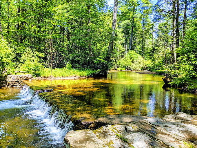 Nature's amphitheater awaits at Caledonia State Park, where this stone stage has hosted more woodland performances than Broadway. The trees are your standing ovation.