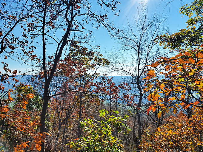 These rustic pavilions prove that the best dining rooms don't need walls or reservations.