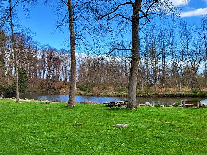 The stillness of this hidden waterway gives you front-row seats to nature's most peaceful show. Forget Netflix&mdash;this is the kind of streaming worth subscribing to.