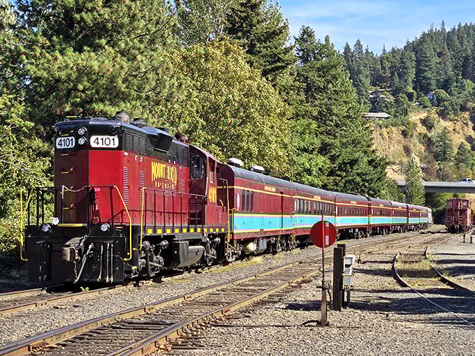 The iconic crimson and turquoise Mount Hood Railroad cuts through Oregon's wilderness like a living postcard, bringing nostalgic train travel and breathtaking scenery together in perfect harmony.