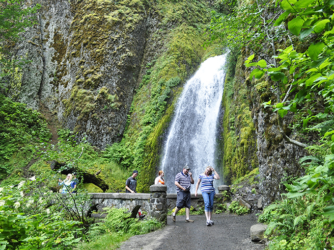Nature's own masterpiece unfolds before visitors at Wahkeena Falls, where cascading water meets lush greenery in a display that rivals any museum exhibition.