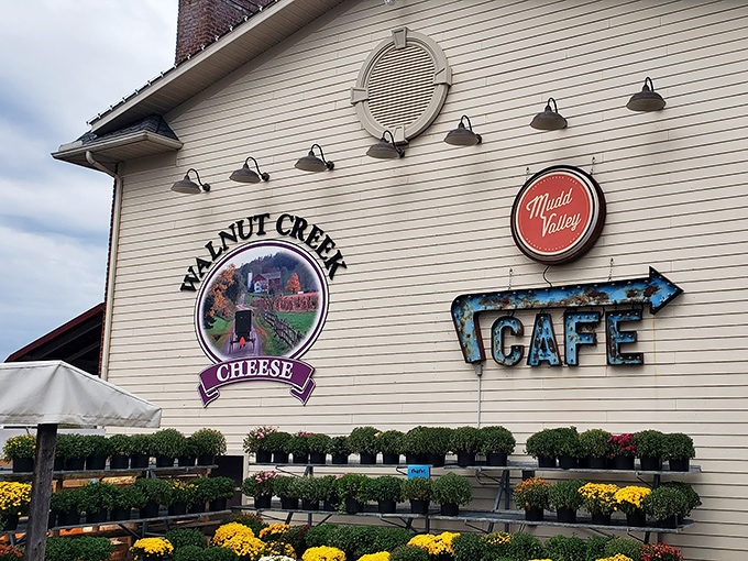 The unassuming exterior of Walnut Creek Cheese belies the wonderland within—like finding Narnia in Ohio's Amish Country.