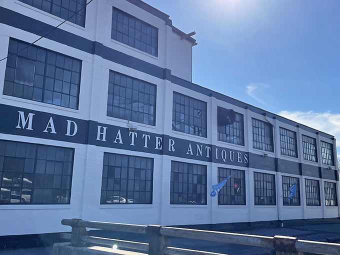 The iconic white facade of Mad Hatter Antiques stands like a time portal in Adamstown, beckoning treasure hunters with its bold black lettering.