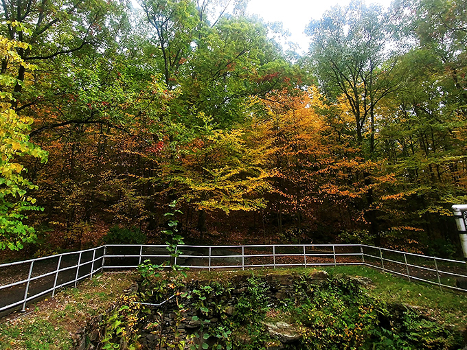 Nature's sculptural gallery on display. Massive rock formations peek through the vibrant forest canopy, a perfect prelude to the main geological attraction.