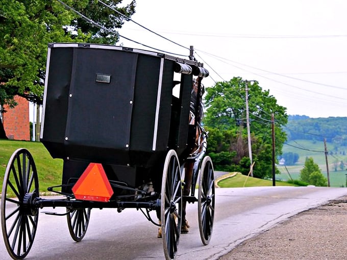 The iconic Amish buggy &ndash; where the pace of life is measured in hoofbeats rather than horsepower. A reminder that sometimes the scenic route is the only one worth taking.