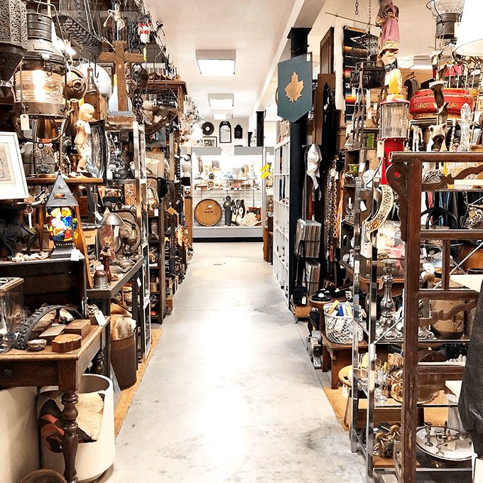 Treasure hunters, take note! This narrow aisle at The Mart Collective is like an archaeological dig where every shelf reveals another decade's worth of fascinating finds.