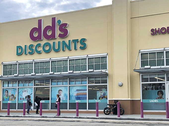 The vibrant purple and teal signage of dd's DISCOUNTS stands out like a beacon of bargains in the Florida retail landscape.