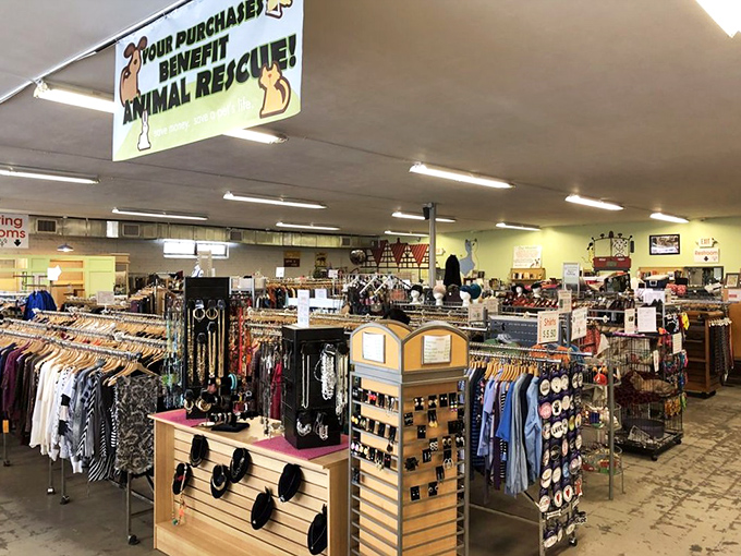 This is inside the unassuming brick exterior of Second Life Upscale Resale; a treasure trove within. Like a speakeasy for bargain hunters, the modest storefront is just the beginning.