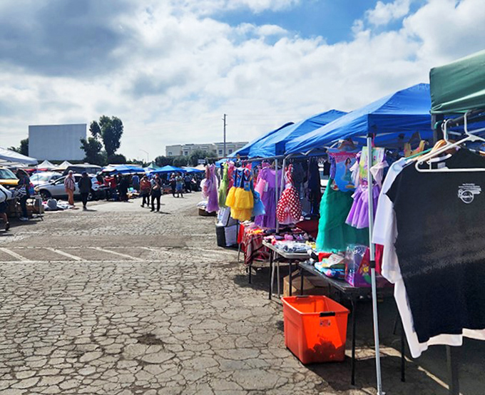 Welcome to bargain hunter's paradise, where every aisle promises treasures waiting to be discovered by savvy shoppers.