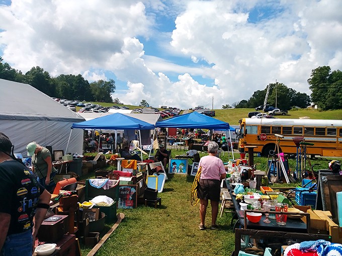 The sign that launches a thousand treasure hunts. Twice a year, this unassuming marker becomes Virginia's most exciting invitation.