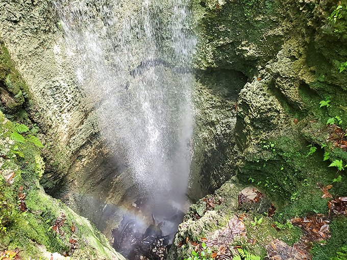 Nature's wooden walkway beckons you deeper into the forest, where fallen leaves crunch underfoot and Florida's best-kept secret awaits around the bend.