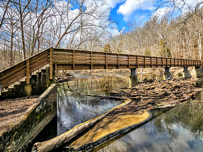 A wooden boardwalk winds through a flooded forest at John Bryan State Park, where nature reclaims its territory in the most photogenic way possible.