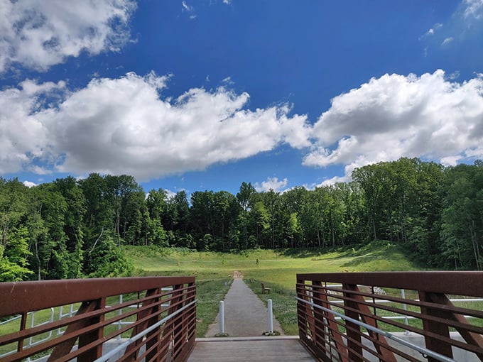 Enjoy a beautiful day at Mt. Gilead State Park! Fresh air, blue skies, and nature's embrace. So peaceful!