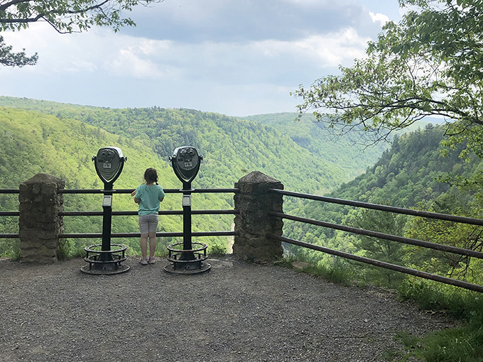 Pine Creek winds through the Pennsylvania Grand Canyon like nature's own lazy river, offering a front-row seat to the state's most spectacular geological show.