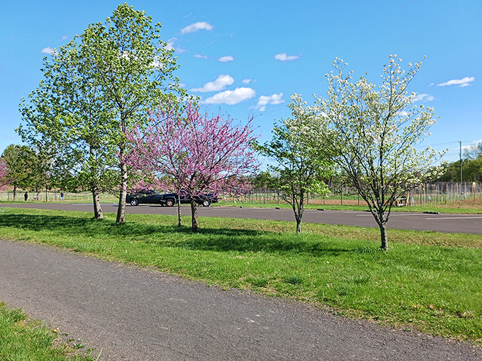 The unassuming entrance to Benjamin Rush State Park &ndash; where Philadelphia's concrete jungle gives way to towering pines and open skies. Nature's front porch awaits.