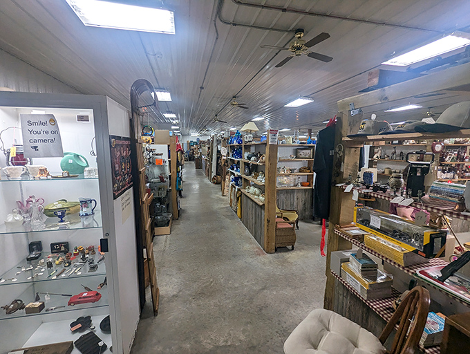 A treasure hunter's paradise where every aisle promises discovery. The white-paneled ceiling hovers above a labyrinth of memories waiting to be claimed.