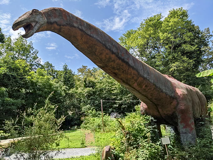 A Triceratops lurks in the lush Tennessee forest, looking so lifelike you might wonder if Jurassic Park's DNA scientists have been moonlighting in Bluff City.