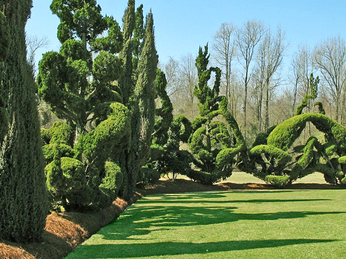 Magnificent living archways frame the garden path like nature's own triumphal entrance. Even the Emerald City couldn't compete with this green wonderland.