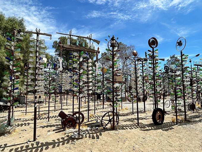 A kaleidoscope forest where discarded bottles find new purpose, creating desert magic one colorful tree at a time.