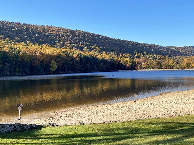 Mother Nature's living room, complete with mountains for walls and a lake for a coffee table. Pennsylvania's finest backdrop for your next "I need this" moment.