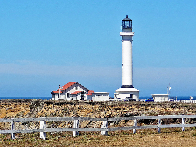 Standing sentinel against the Pacific, Point Arena Lighthouse's gleaming white tower creates a postcard-perfect silhouette against California's impossibly blue sky.