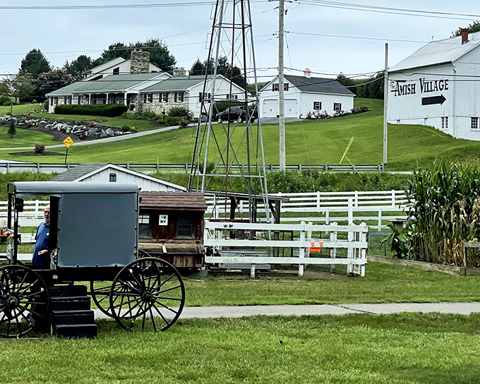 A glimpse of simpler times: The iconic Amish buggy sits ready for action against the backdrop of pristine white buildings and green pastures.