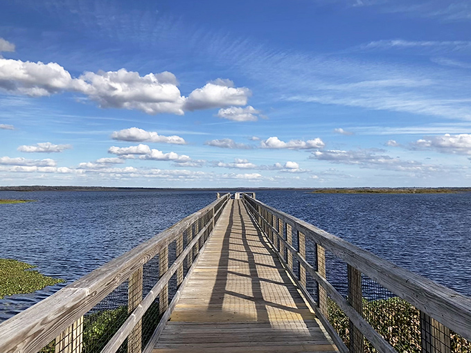 This wooden boardwalk stretches into Florida's prairie like a bridge to another world entirely.