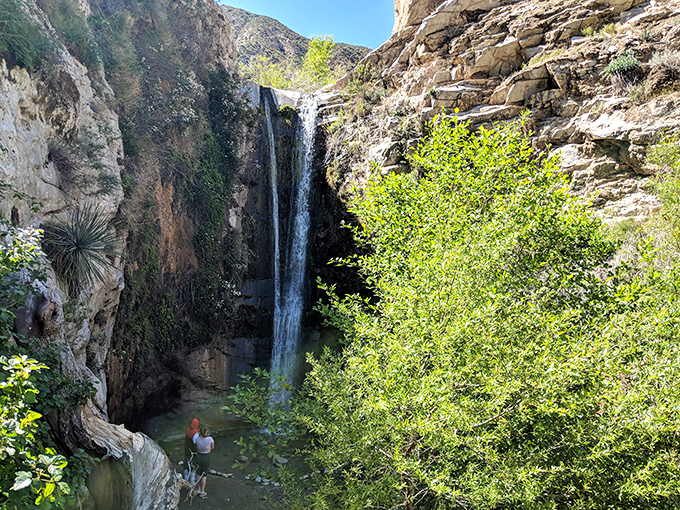 The main event! Trail Canyon Falls plunges 40 feet into a crystal-clear pool, nature's version of the perfect Hollywood entrance.