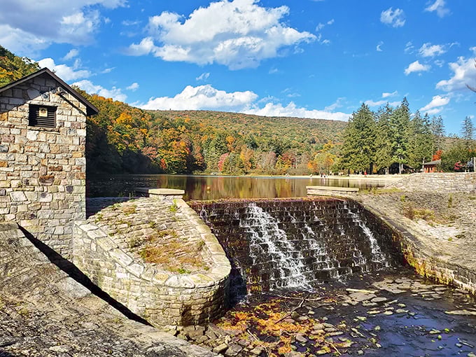 That moment when you realize Pennsylvania's best-kept secret has been hiding in plain sight all along.