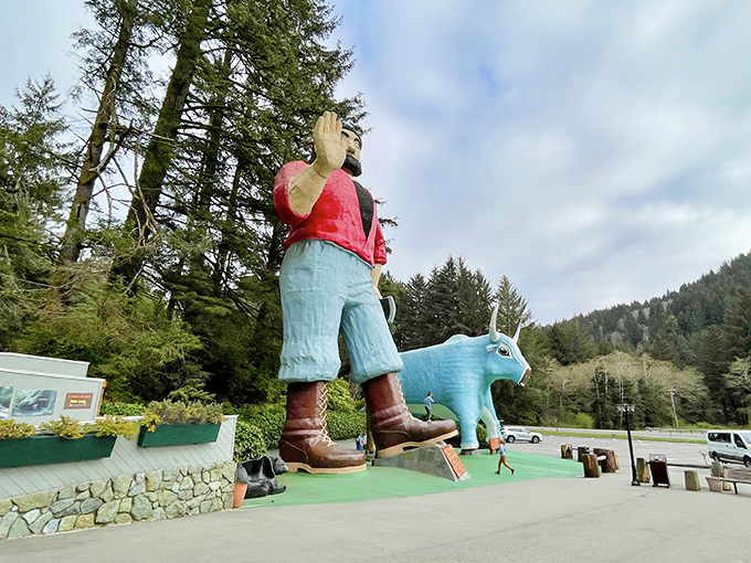 Paul and Babe stand sentinel against a backdrop of towering redwoods, like folklore giants who decided California's weather was better than Minnesota's.